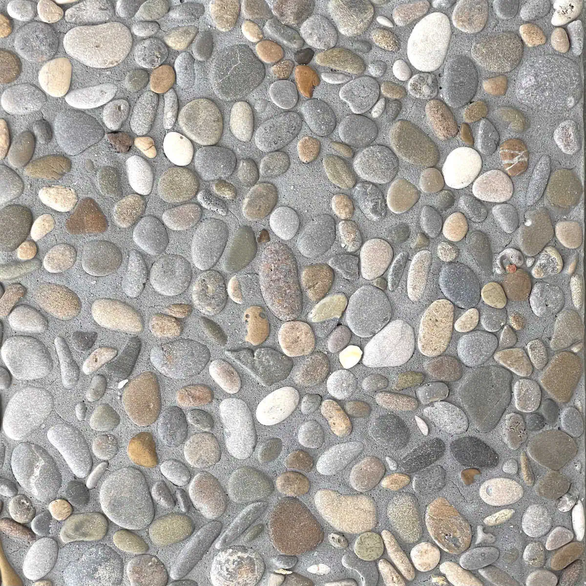 Discover The Beauty Of Concrete Tile: Washed Terrazzo And Exposed ...